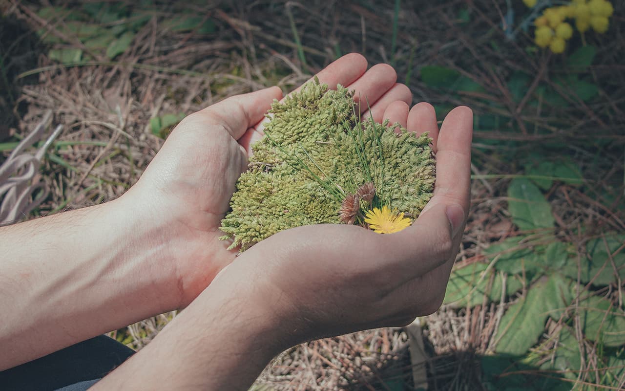 Ways To Solve Environmental Problems NDEP